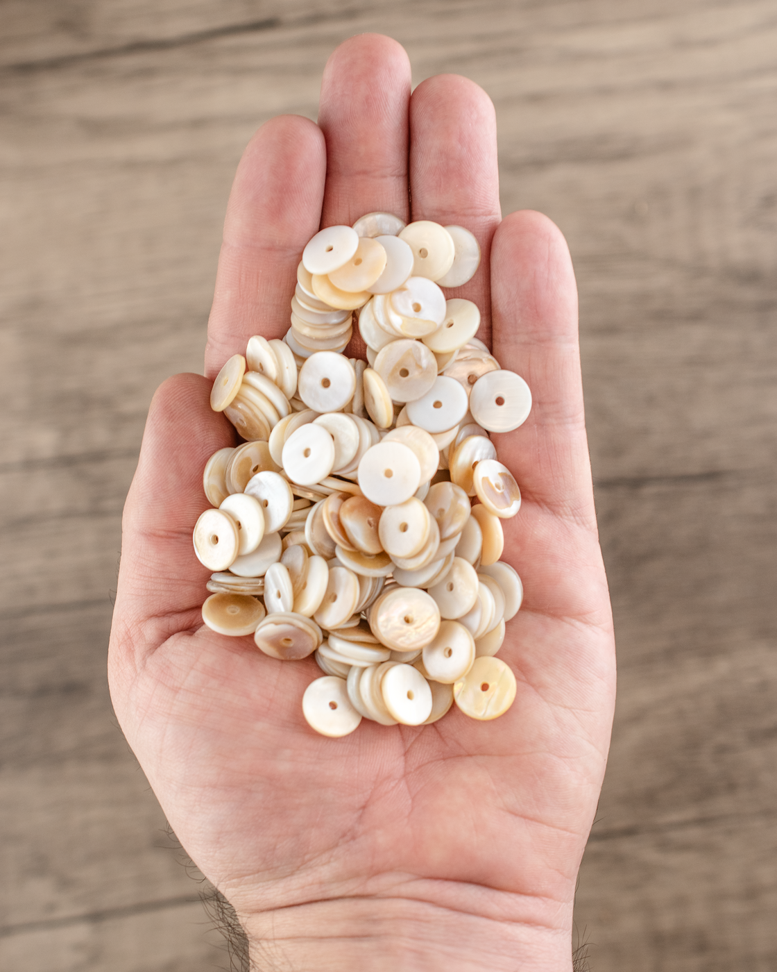 White Ocean Sea Shell Heishi Beads (12mm) — The Bead Chest