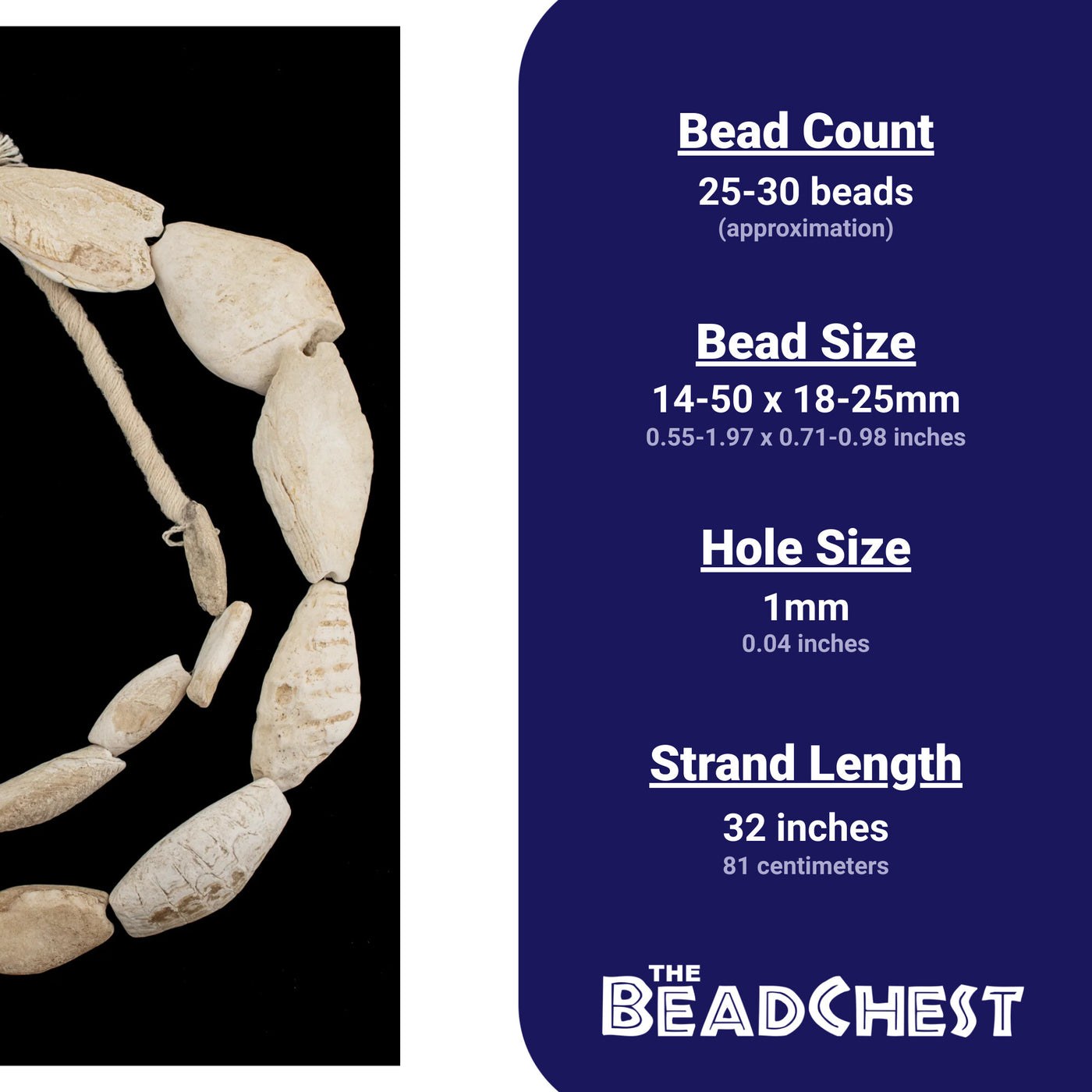 Ancient Sea Shell Beads — The Bead Chest