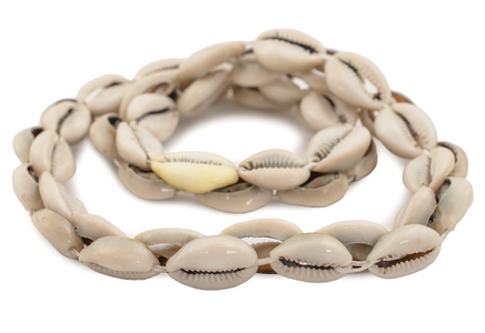 Kenyan Cowrie Shell Wedding Beads — The Bead Chest