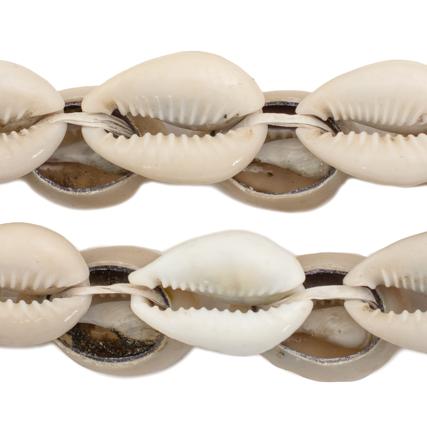 Kenyan Cowrie Shell Wedding Beads — The Bead Chest