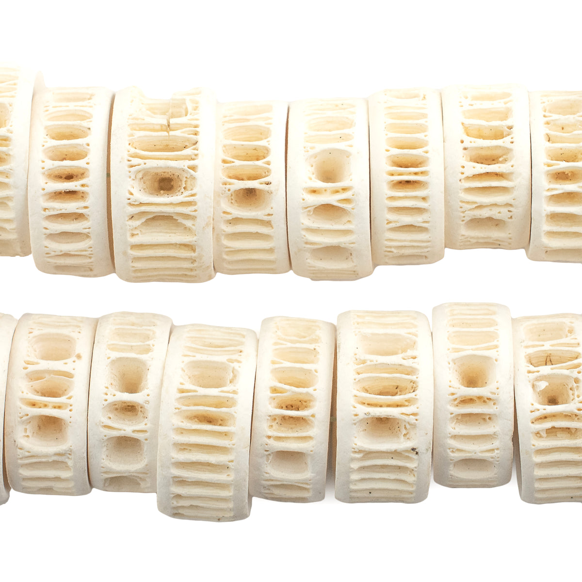 Jumbo Fish Bone Beads (18-22mm) — The Bead Chest