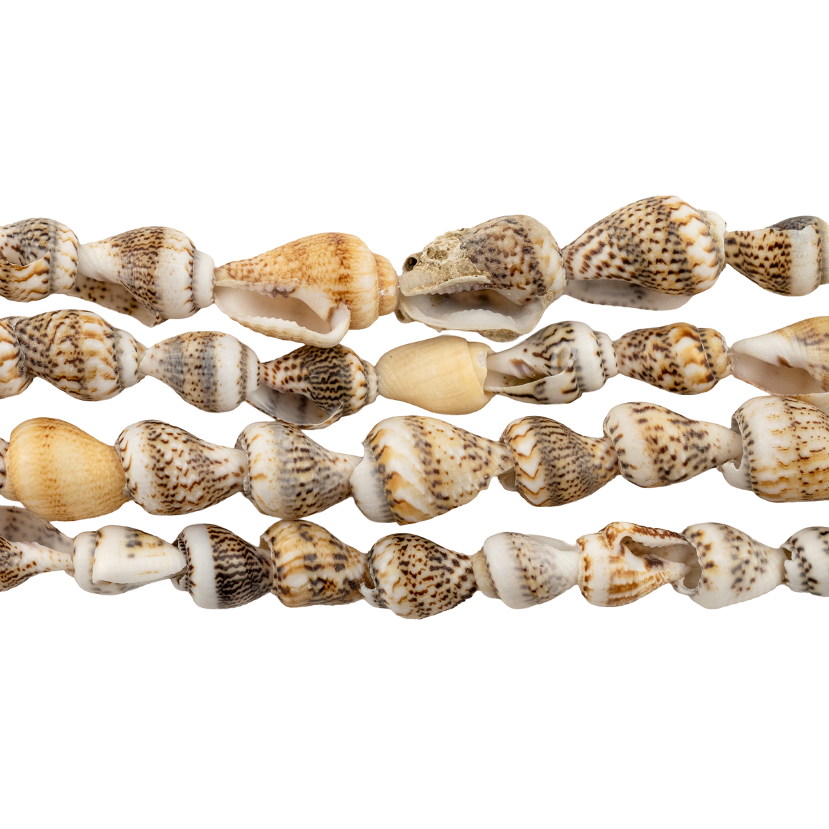 Sunset Shore Natural Shell Beads — The Bead Chest