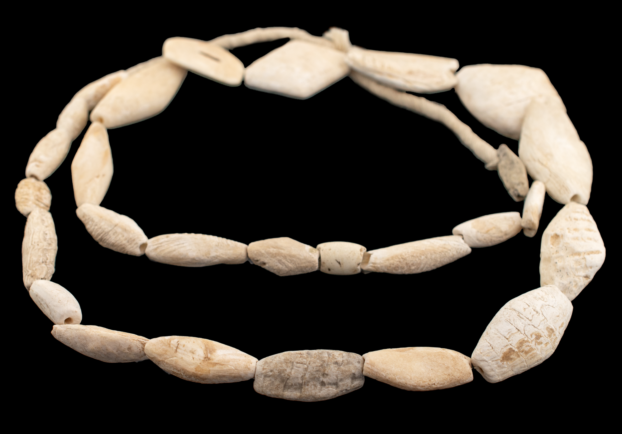 Ancient Sea Shell Beads — The Bead Chest
