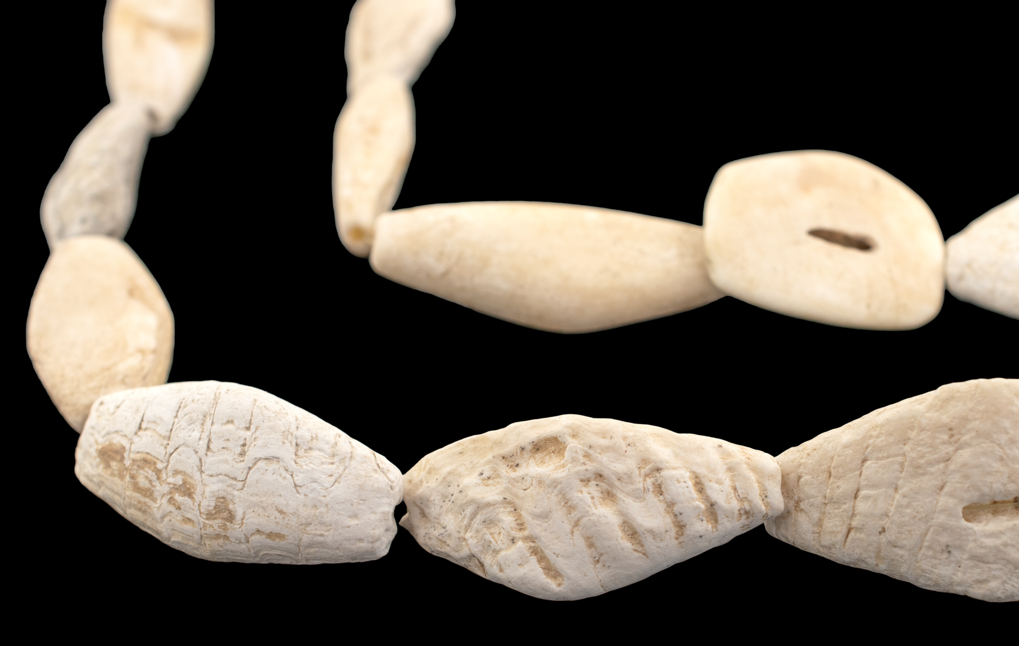 Ancient Sea Shell Beads — The Bead Chest