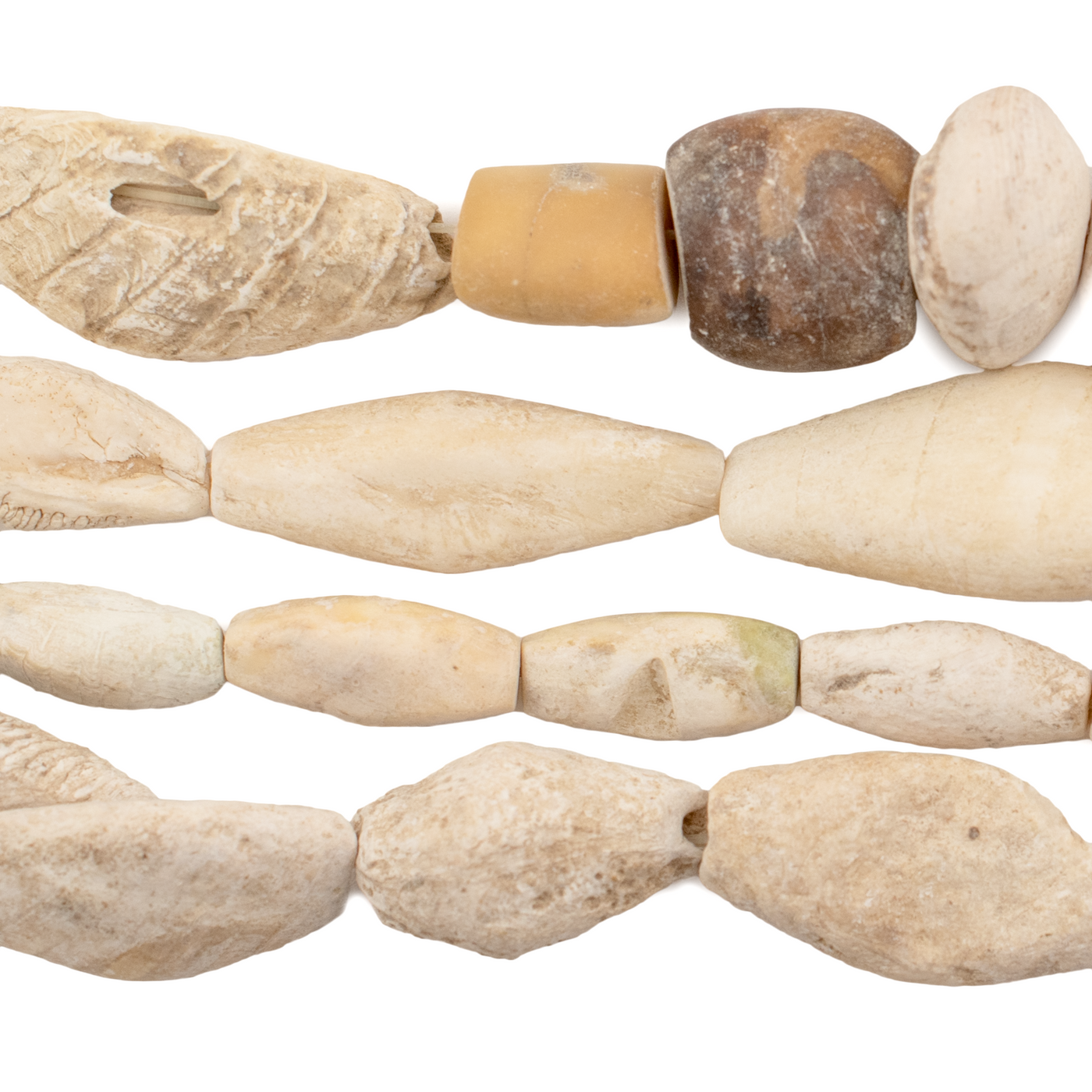 Ancient Sea Shell Beads — The Bead Chest