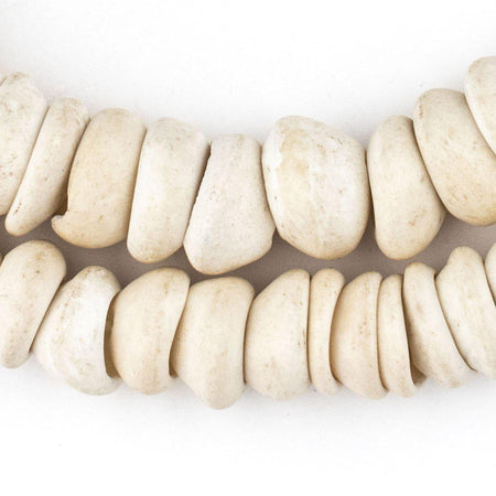 Natural West African Shell Beads (White) — The Bead Chest