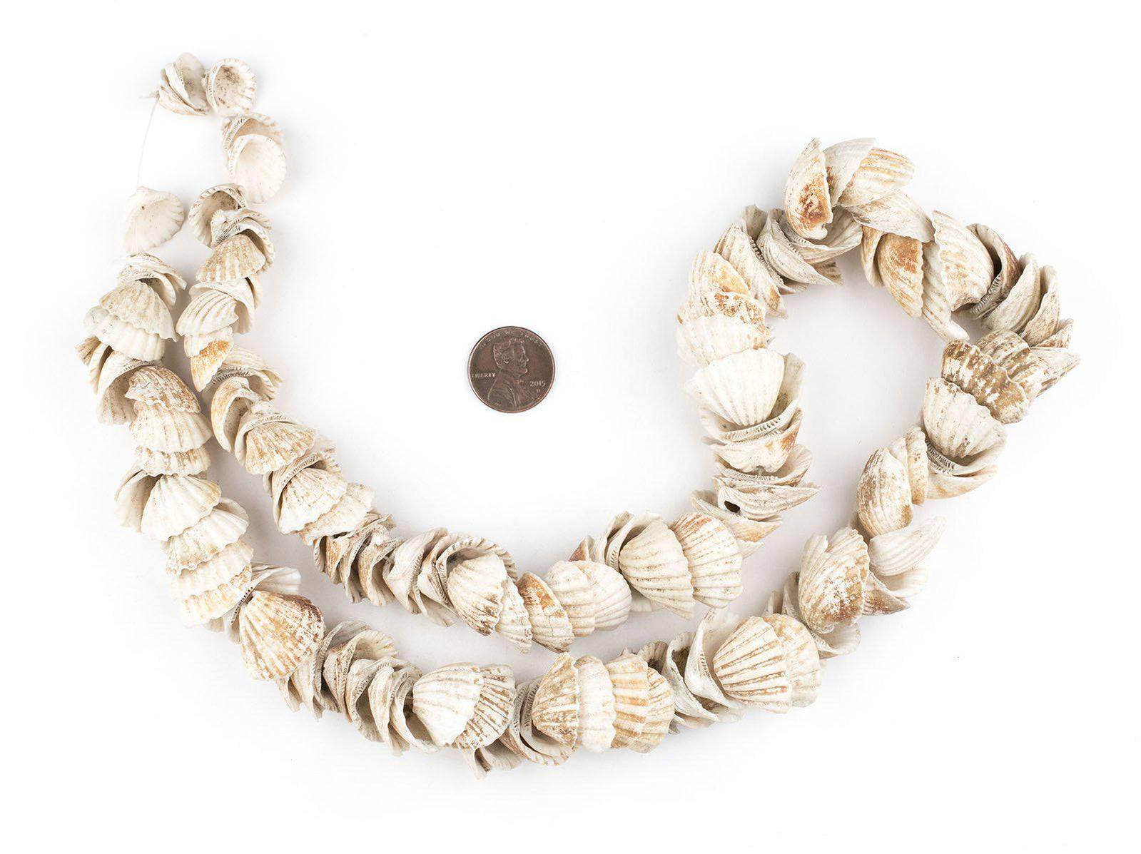 West African Sea Shell Beads — The Bead Chest