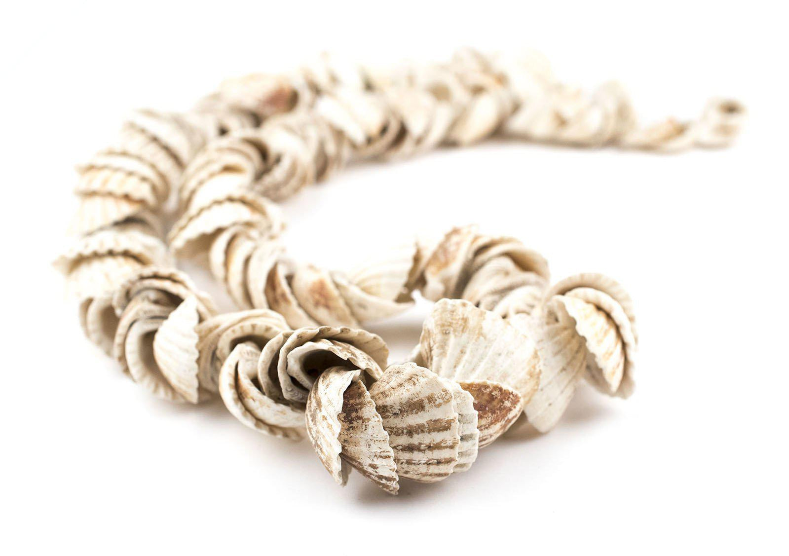 West African Sea Shell Beads — The Bead Chest