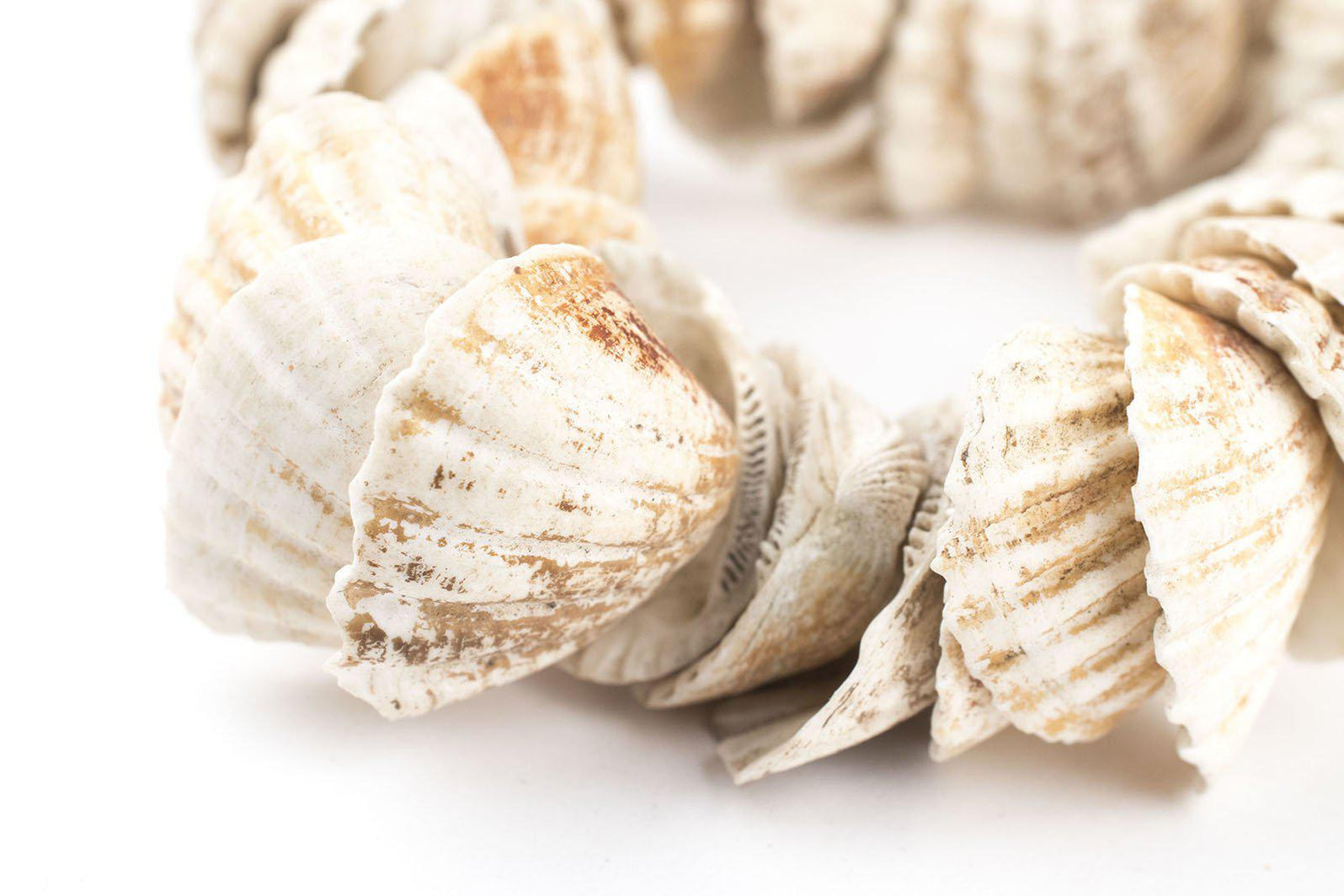 West African Sea Shell Beads — The Bead Chest