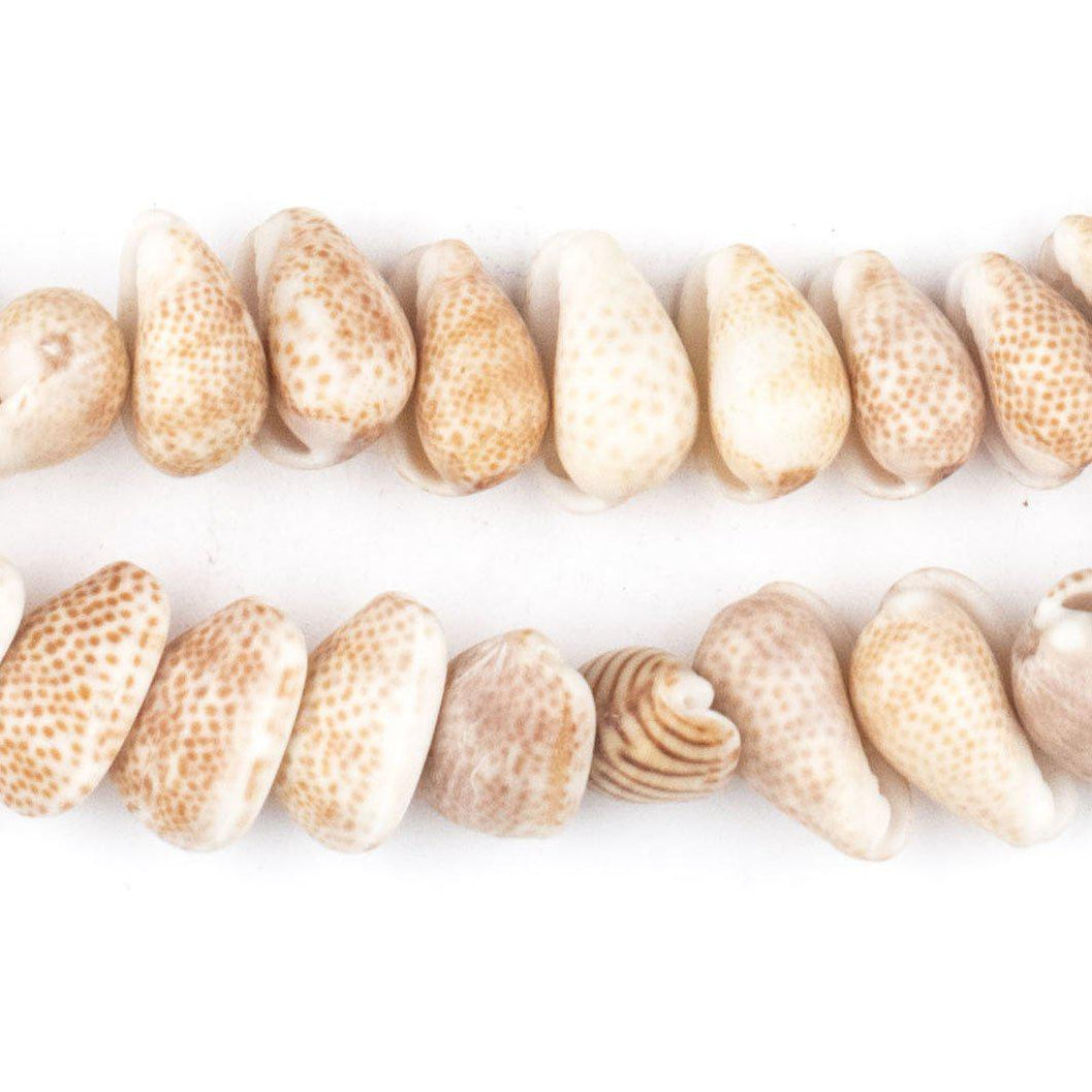 Spotted African Cowrie Shell Beads — The Bead Chest