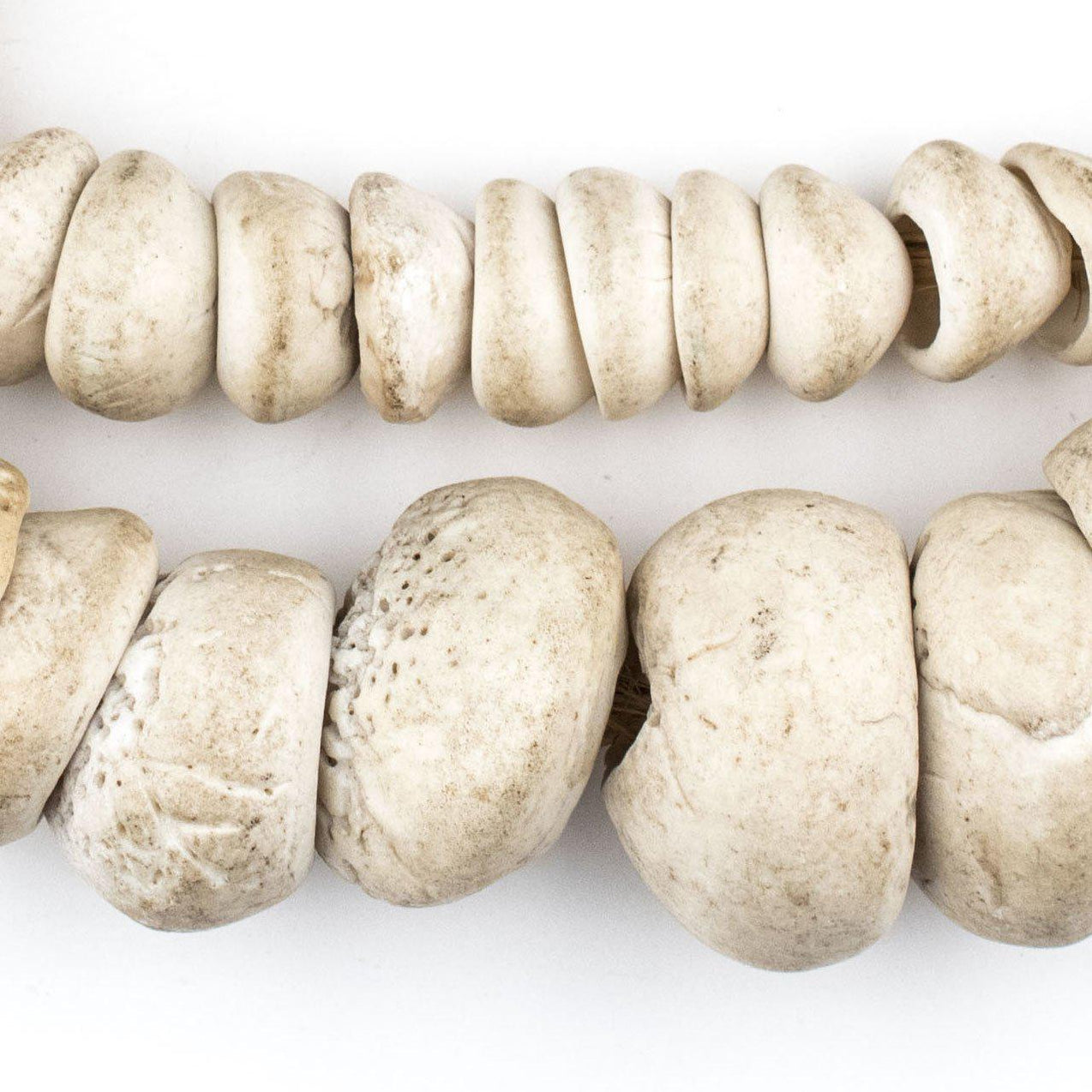 Jumbo Natural West African Shell Beads (White) — The Bead Chest