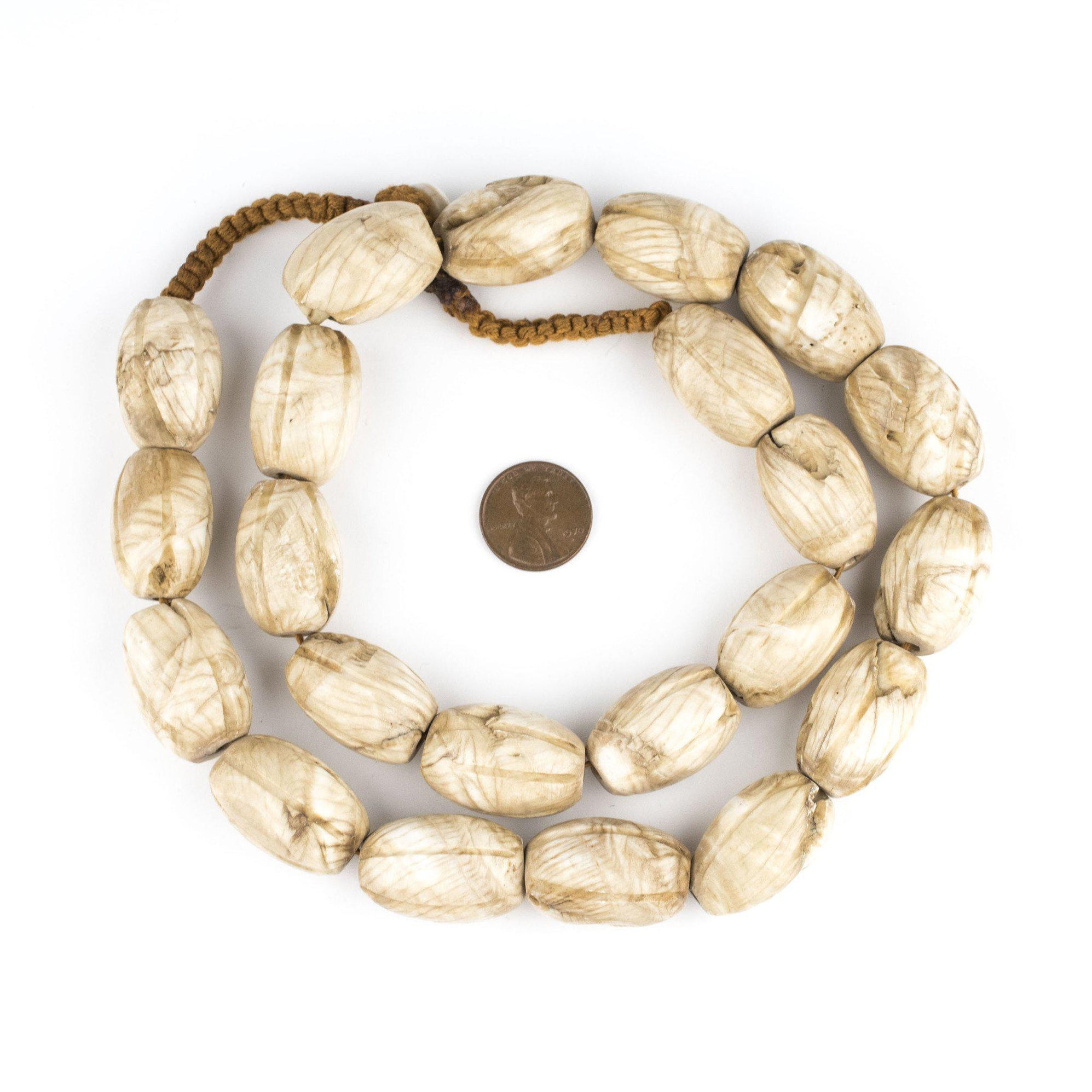 Striped Melon Vintage Naga Shell Beads (26x18mm) — The Bead Chest