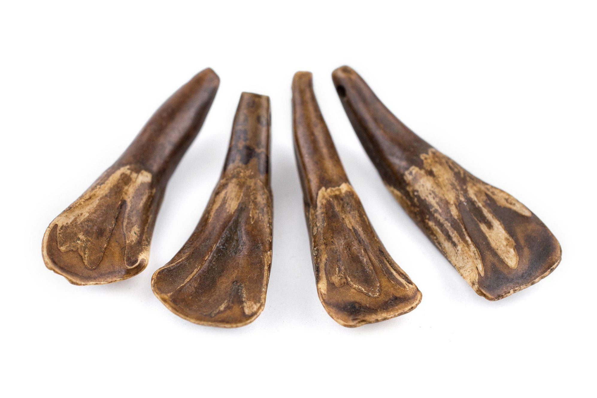 Brown Water Buffalo Tooth Pendants (Set of 4) — The Bead Chest