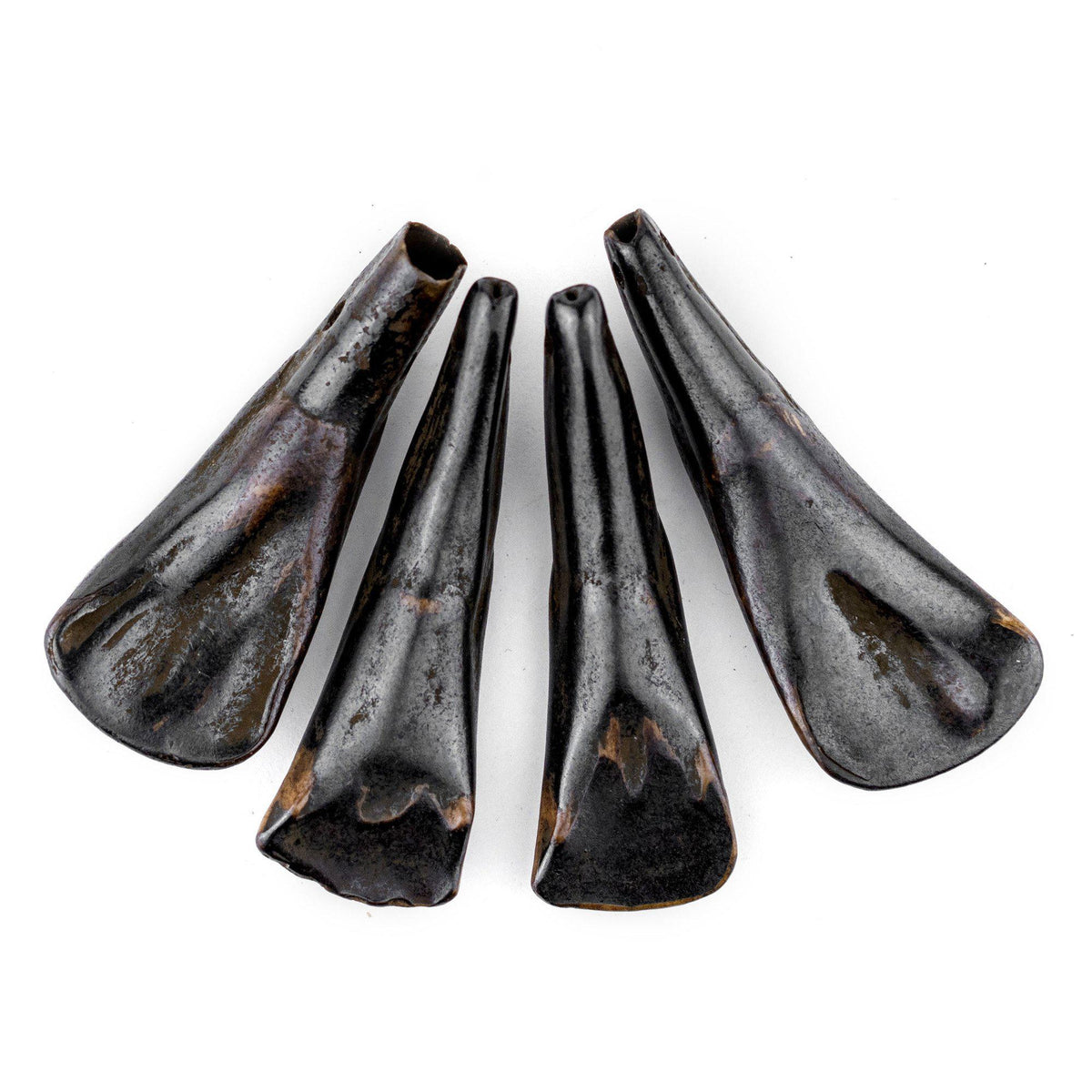 Dark Brown Water Buffalo Tooth Pendants (Set of 4) — The Bead Chest