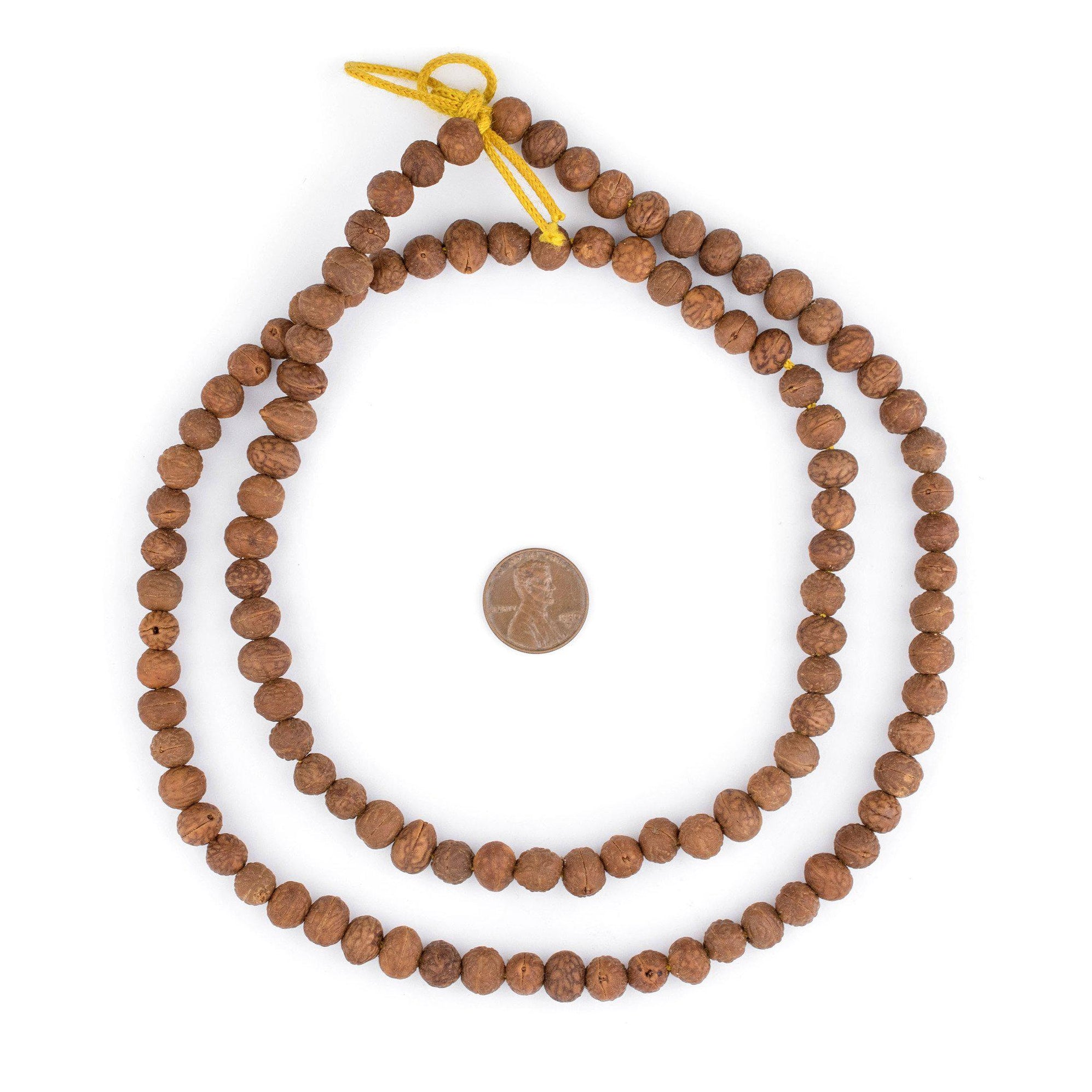 Bodhi Natural Seed Beads (8x9mm) — The Bead Chest