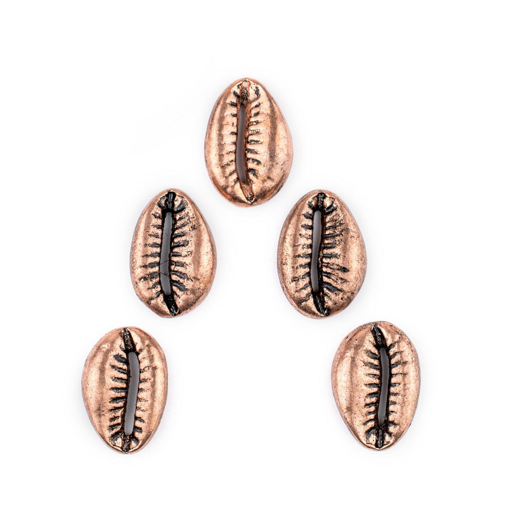 Loose Cowrie Shells and Cowrie Shell Beads - The Bead Chest