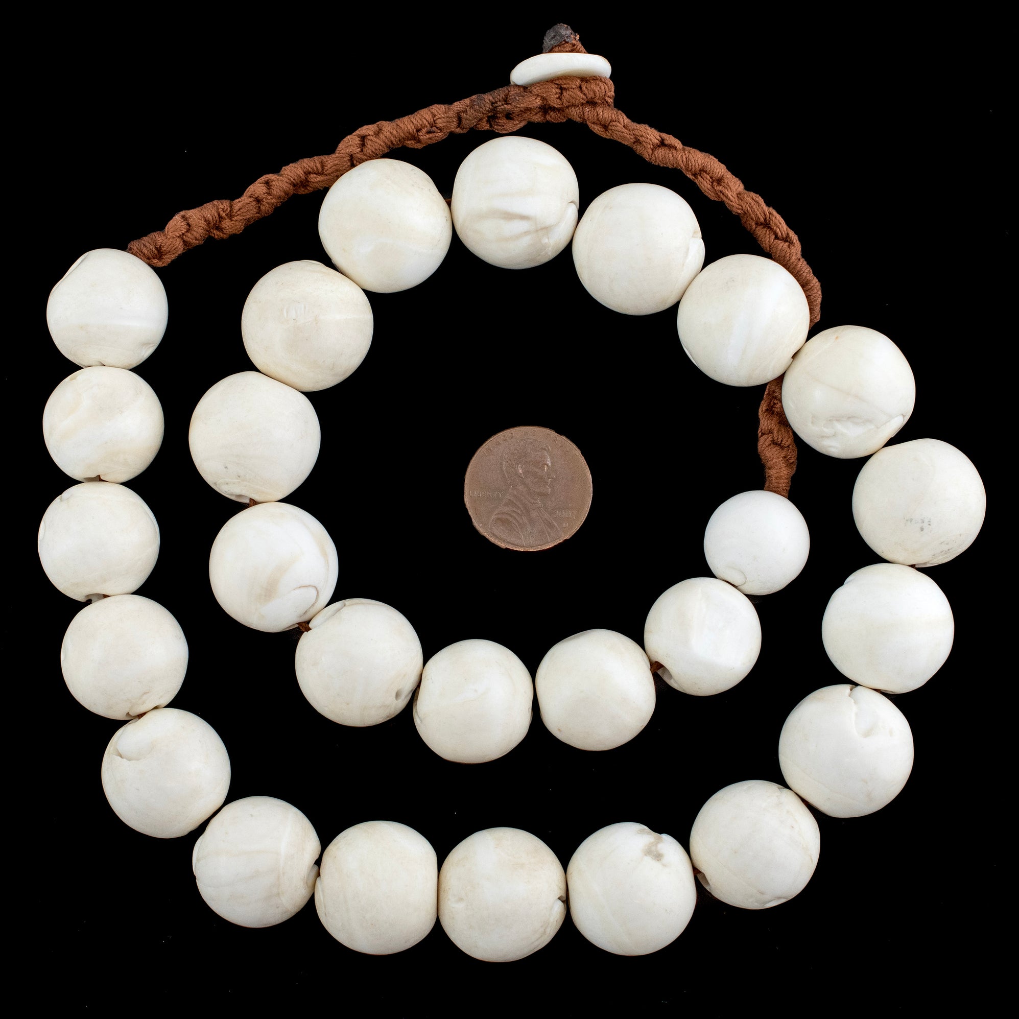 White Naga Conch Shell Beads (18mm) — The Bead Chest