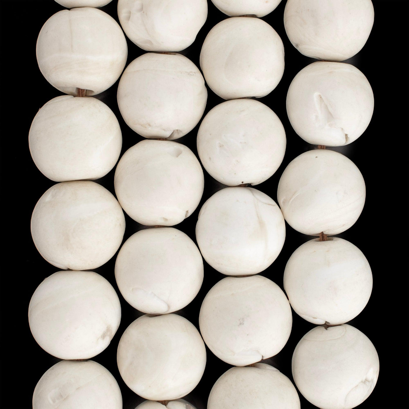 White Naga Conch Shell Beads (18mm) — The Bead Chest