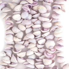 Natural Purple Sea Shell Beads — The Bead Chest