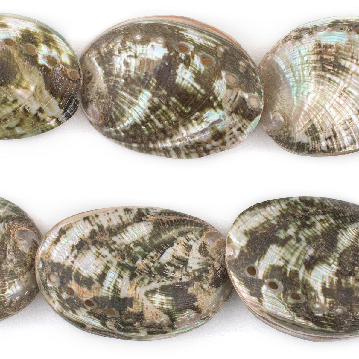 Sea Forest Decorative Shell Beads — The Bead Chest