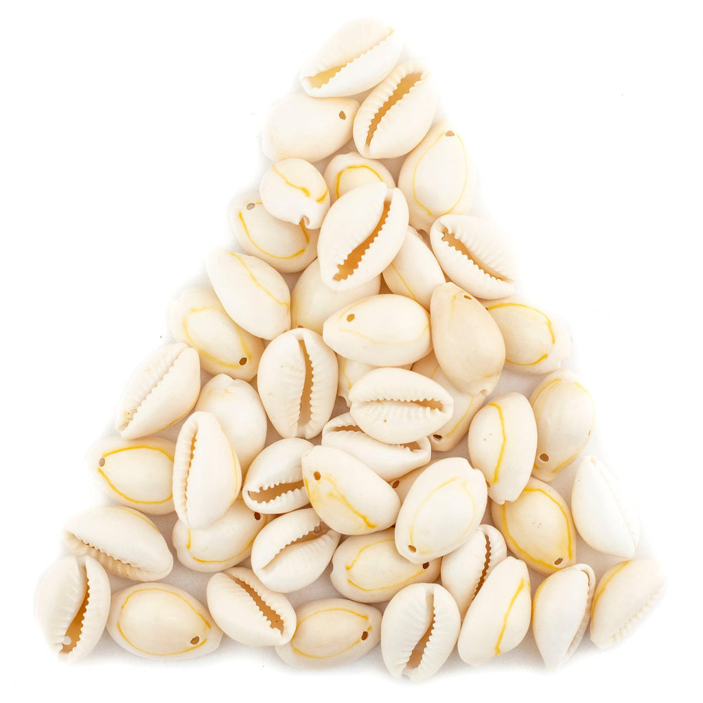 Shell Beads — The Bead Chest