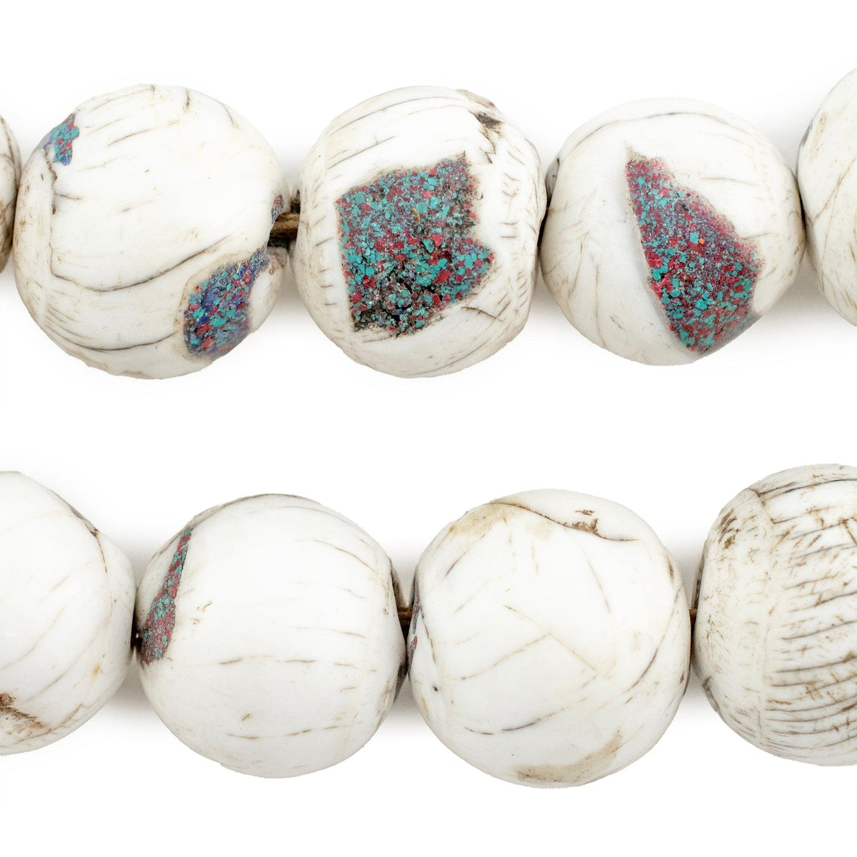 Inlaid Round Naga Conch Shell Beads (19mm) — The Bead Chest