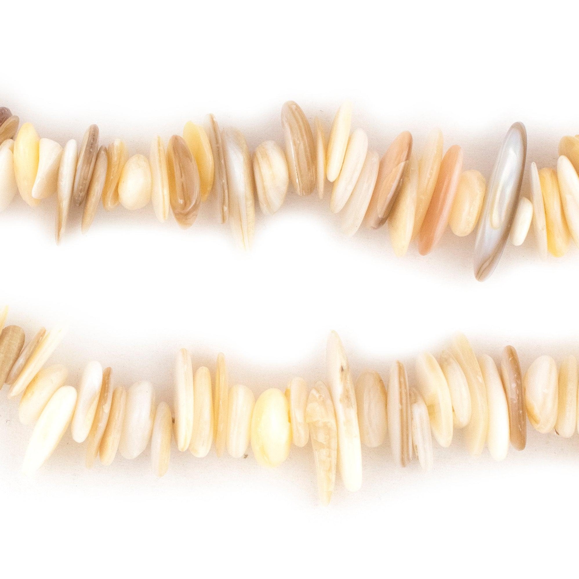 Shell Beads — The Bead Chest