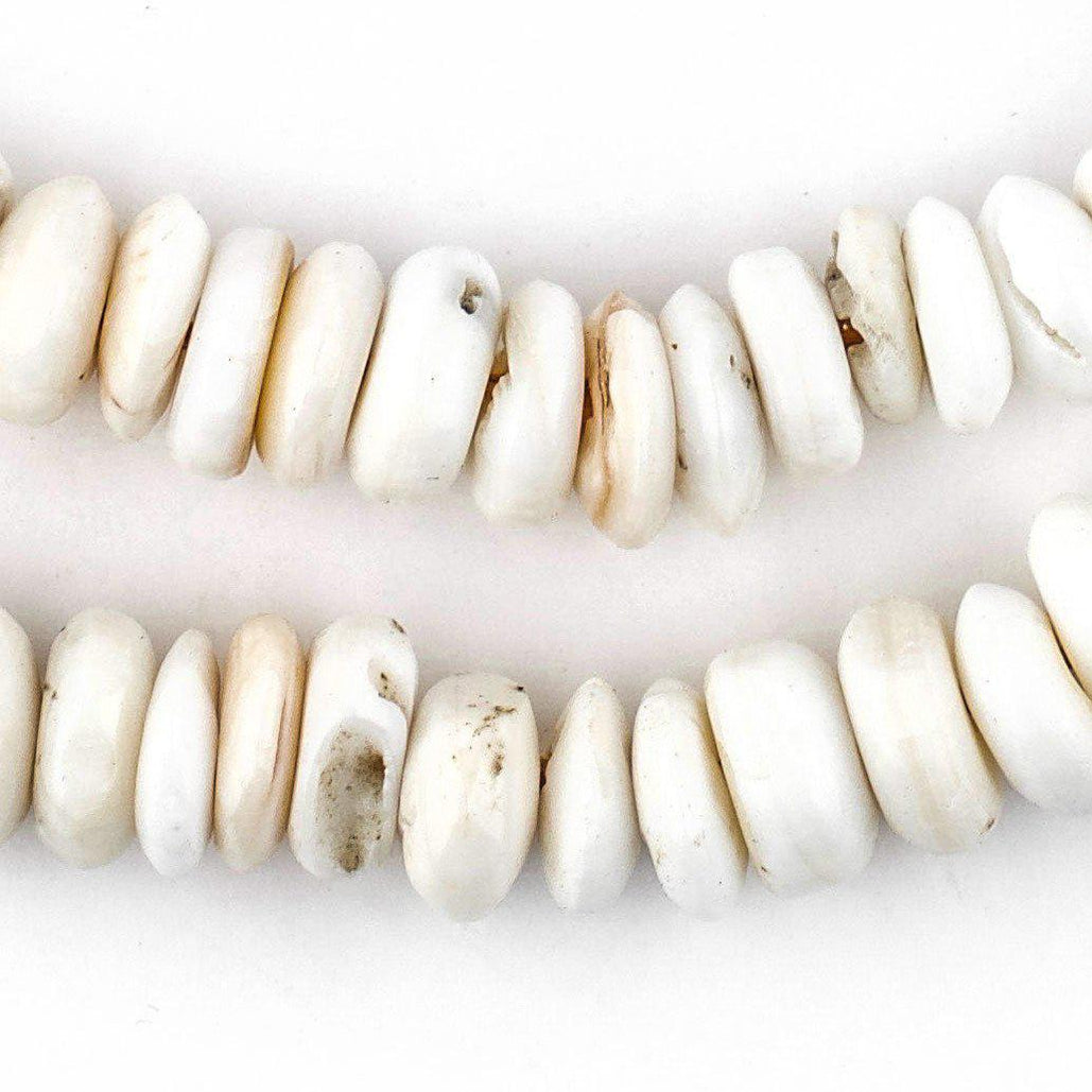 Mixed Naga Shell Disk Beads (11mm) — The Bead Chest