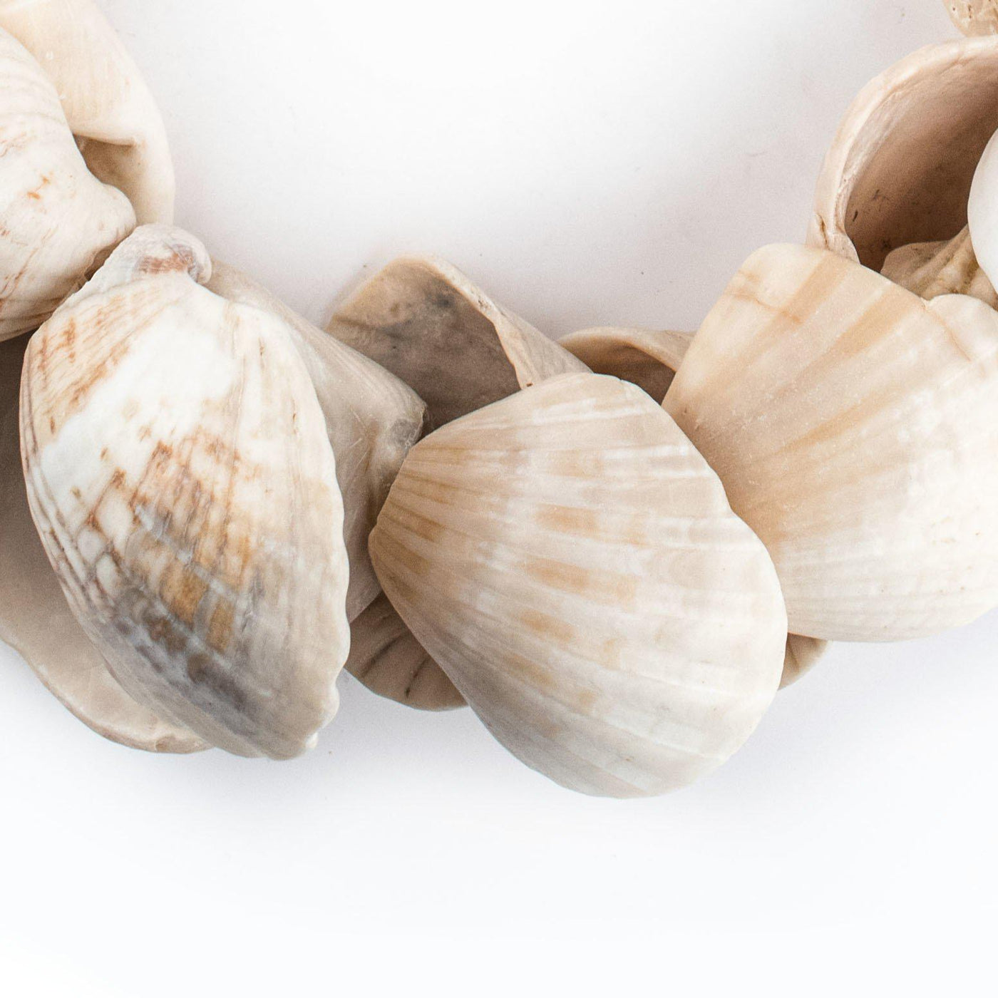 West African Decorative Shell Beads — The Bead Chest