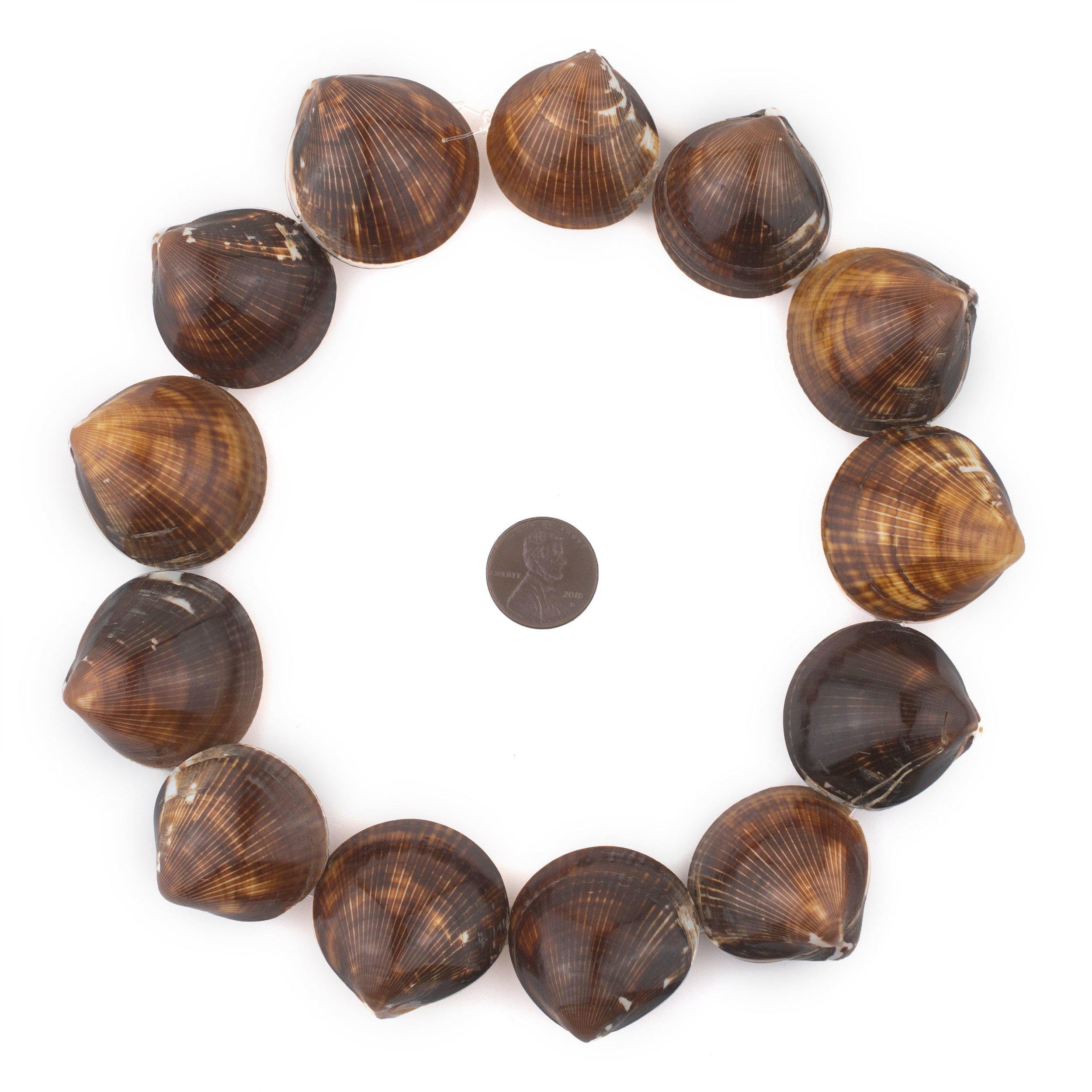Sand Dweller Decorative Sea Shell Beads — The Bead Chest